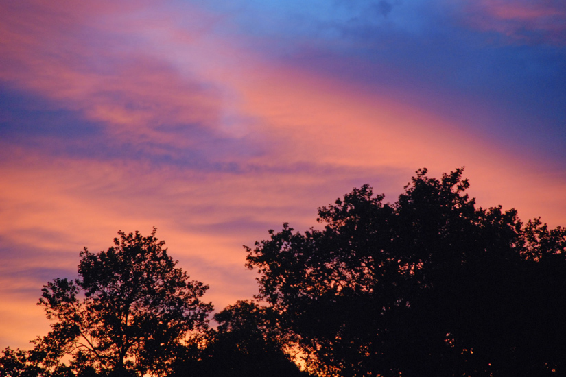 David Finkelstein Photography: Nature